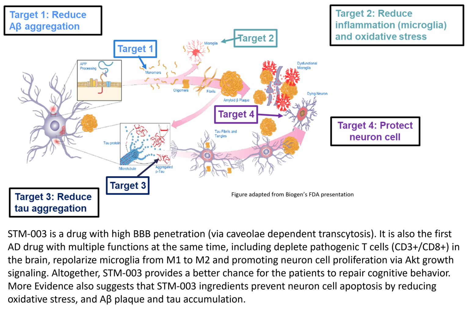 2401_Pipeline_Description_STM003 | SUNTEC MEDICAL